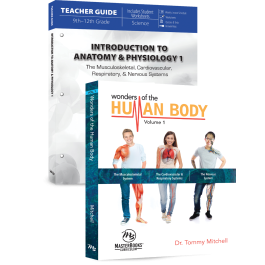Introduction to Anatomy & Physiology 1 Curriculum Package - Anatomy ...